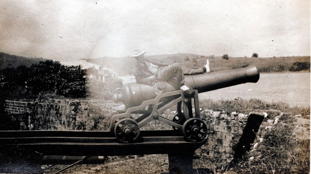 Fort George - Jamaica Homes